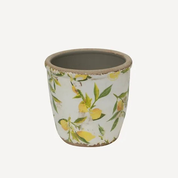 Botanical Lemon Pot Large – Terra Viva Home and Garden