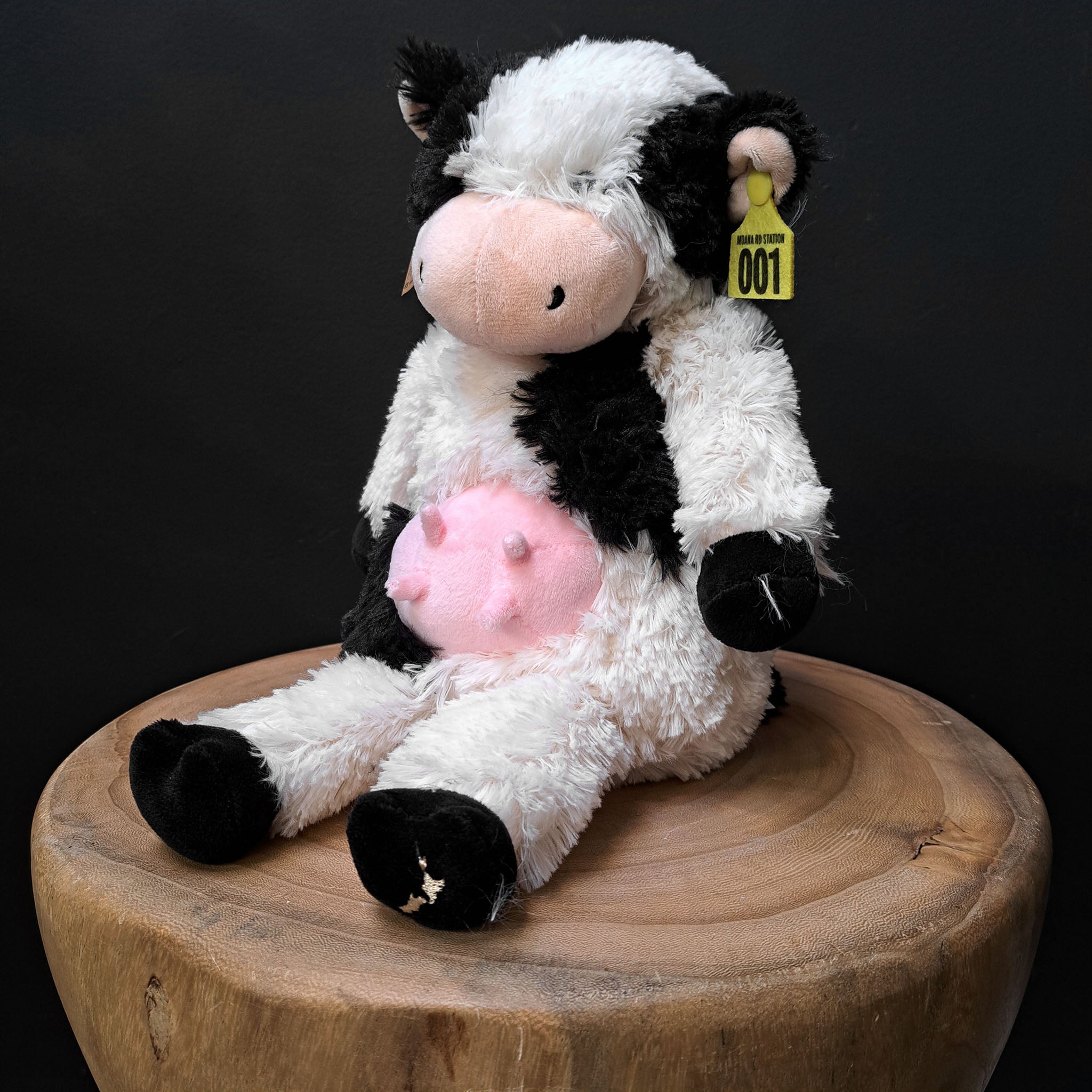 Daisy The Dairy Cow – Terra Viva Home and Garden