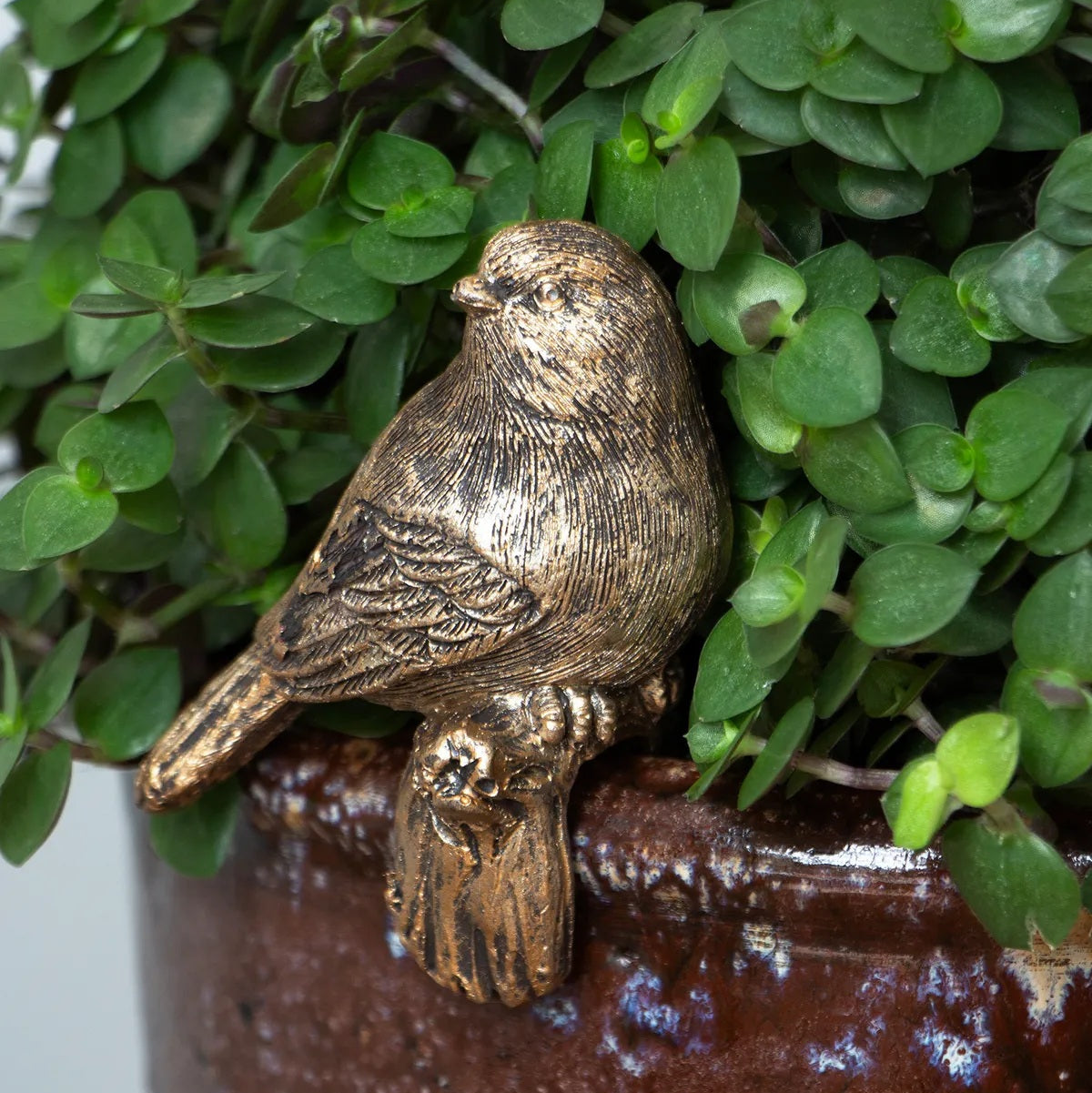 Hanging Bird Gold – Terra Viva Home and Garden