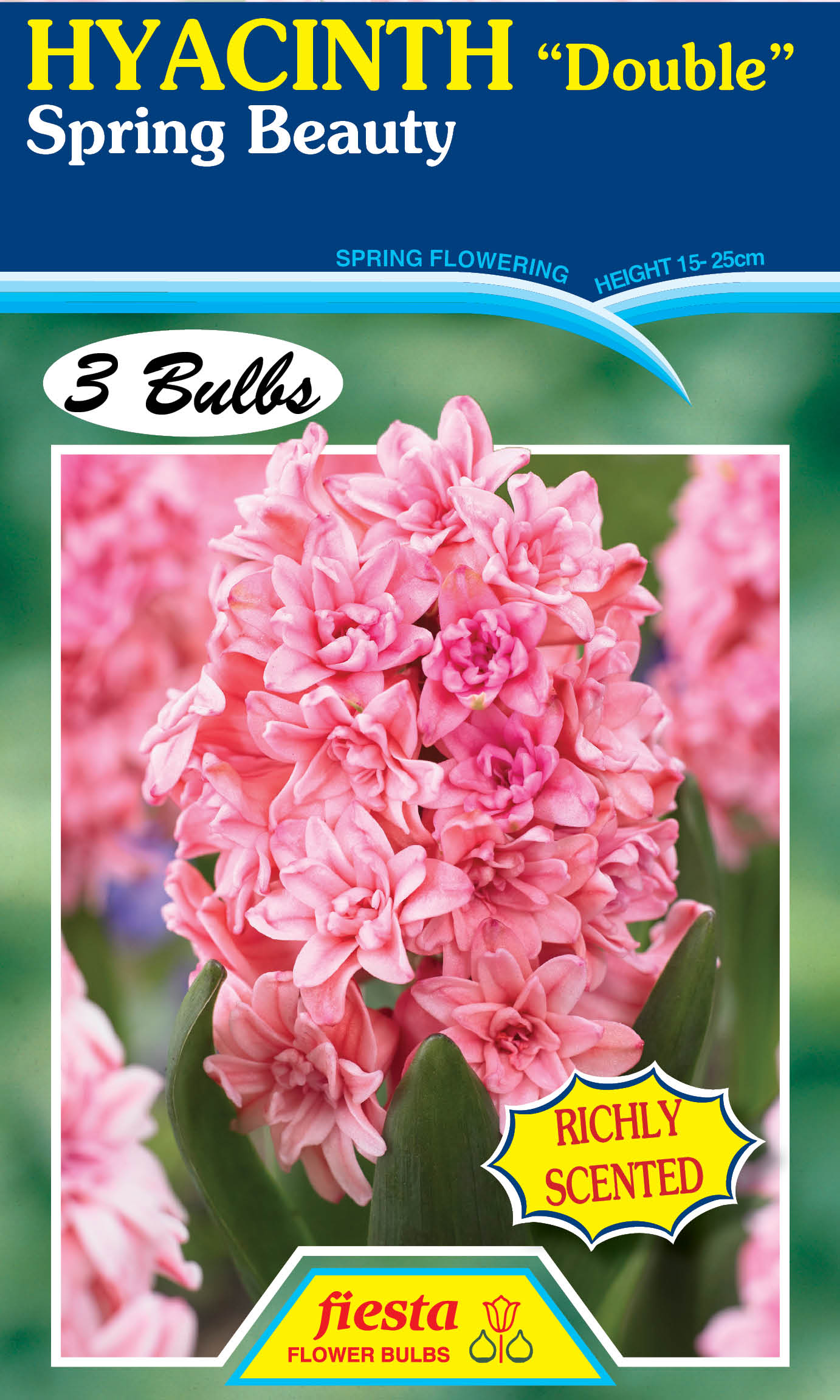 Hyacinth Double Spring Beauty – Terra Viva Home and Garden